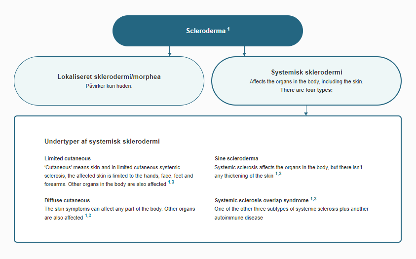 Hvad er sklerodermi Sklerodermi | Mere end sklerodermi