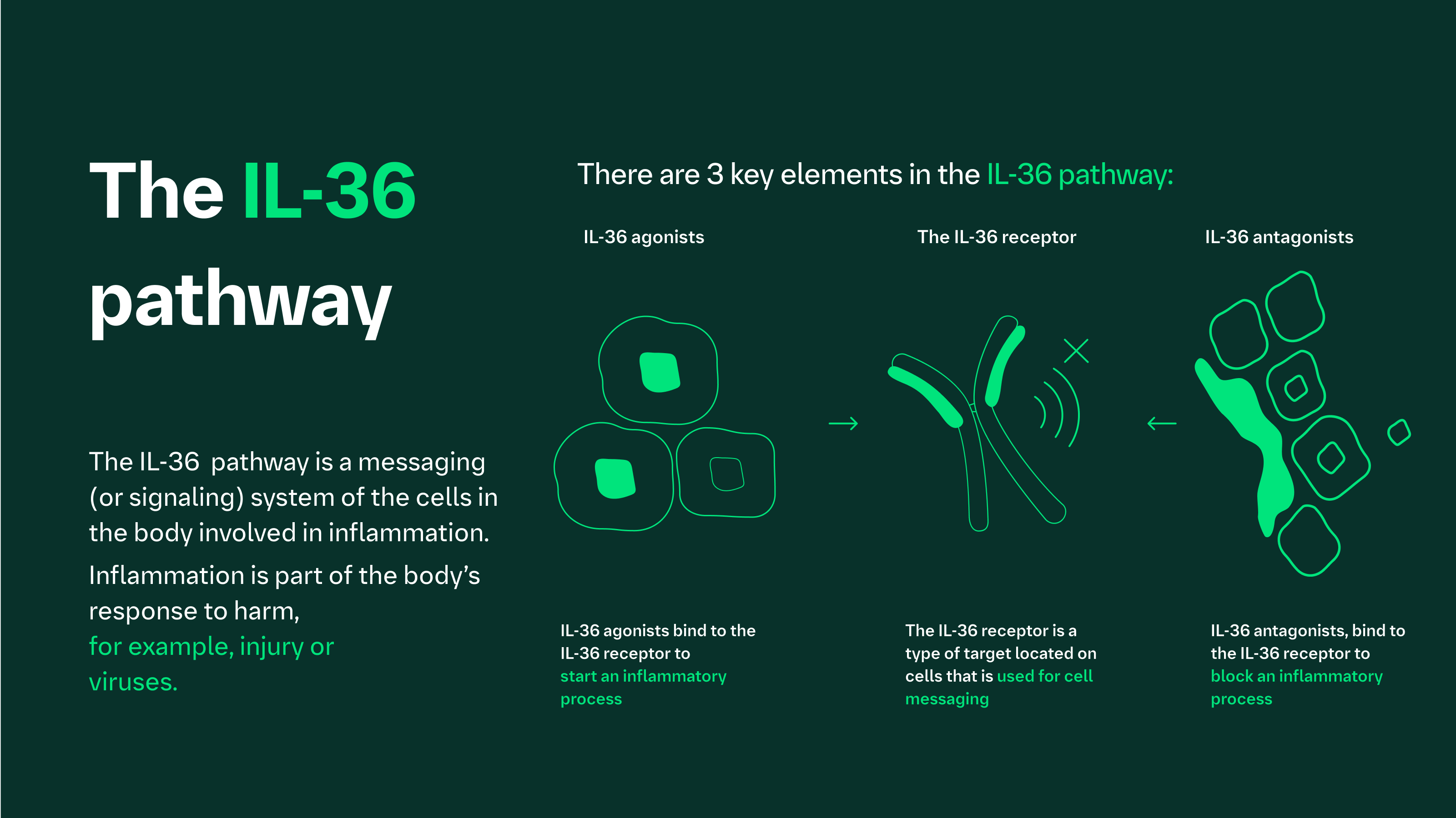 Generalized Pustular Psoriasis is different from Plaque psoriasis | Gpp ...