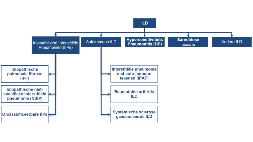 Wat is longfibrose? | Informatie voor patiënten in NL