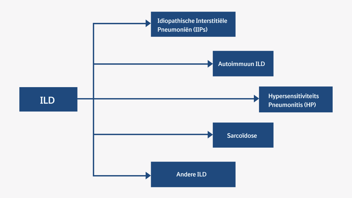 Wat is longfibrose? | Informatie voor patiënten in NL