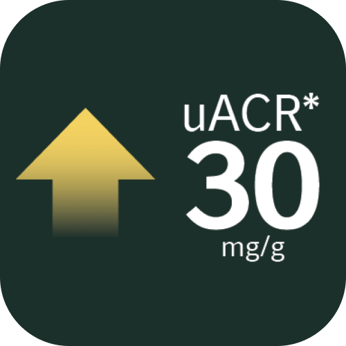 Take action against Chronic Kidney Disease | It starts with you