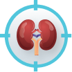 Understanding Chronic Kidney Disease | It starts with you