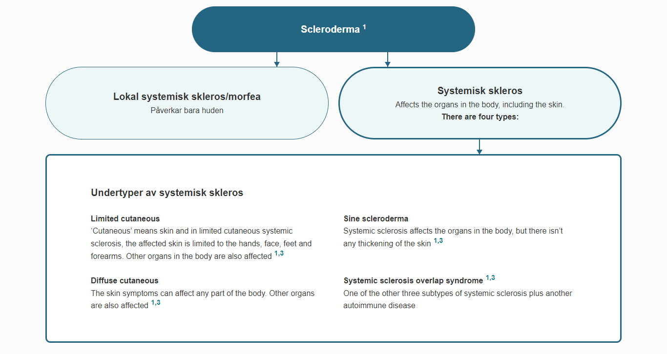 Vad är systemisk skleros | More Than Scleroderma