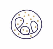 What Is Generalized Pustular Psoriasis (GPP) | Spevigo®