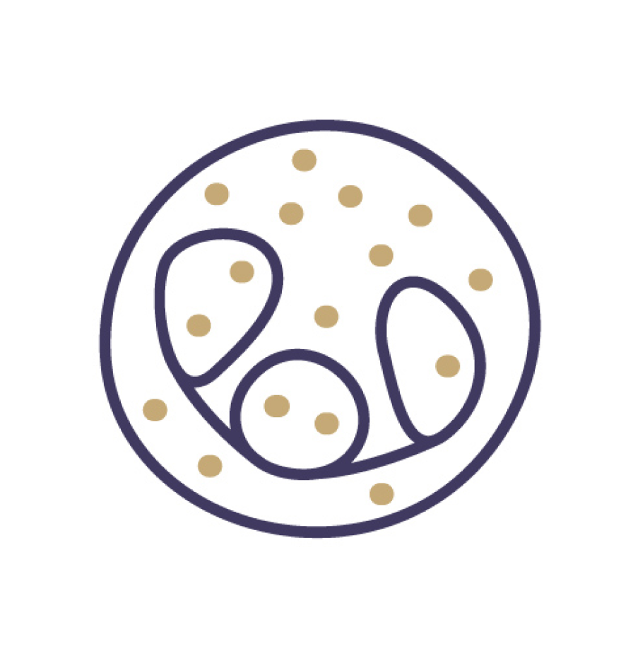 What Is Generalized Pustular Psoriasis (GPP) | Spevigo®