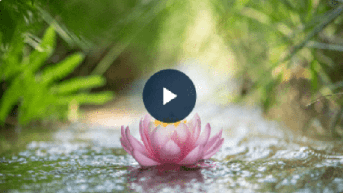 STIOLTO RESPIMAT® inhalation spray | Meditation for COPD Wellness